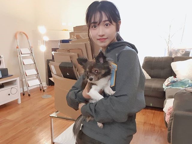 韩国Yoomjji企鹅妹Jinny！不仅外型可爱，精通英语，还会讲中文以及日文-新闻资讯-高贝娱乐